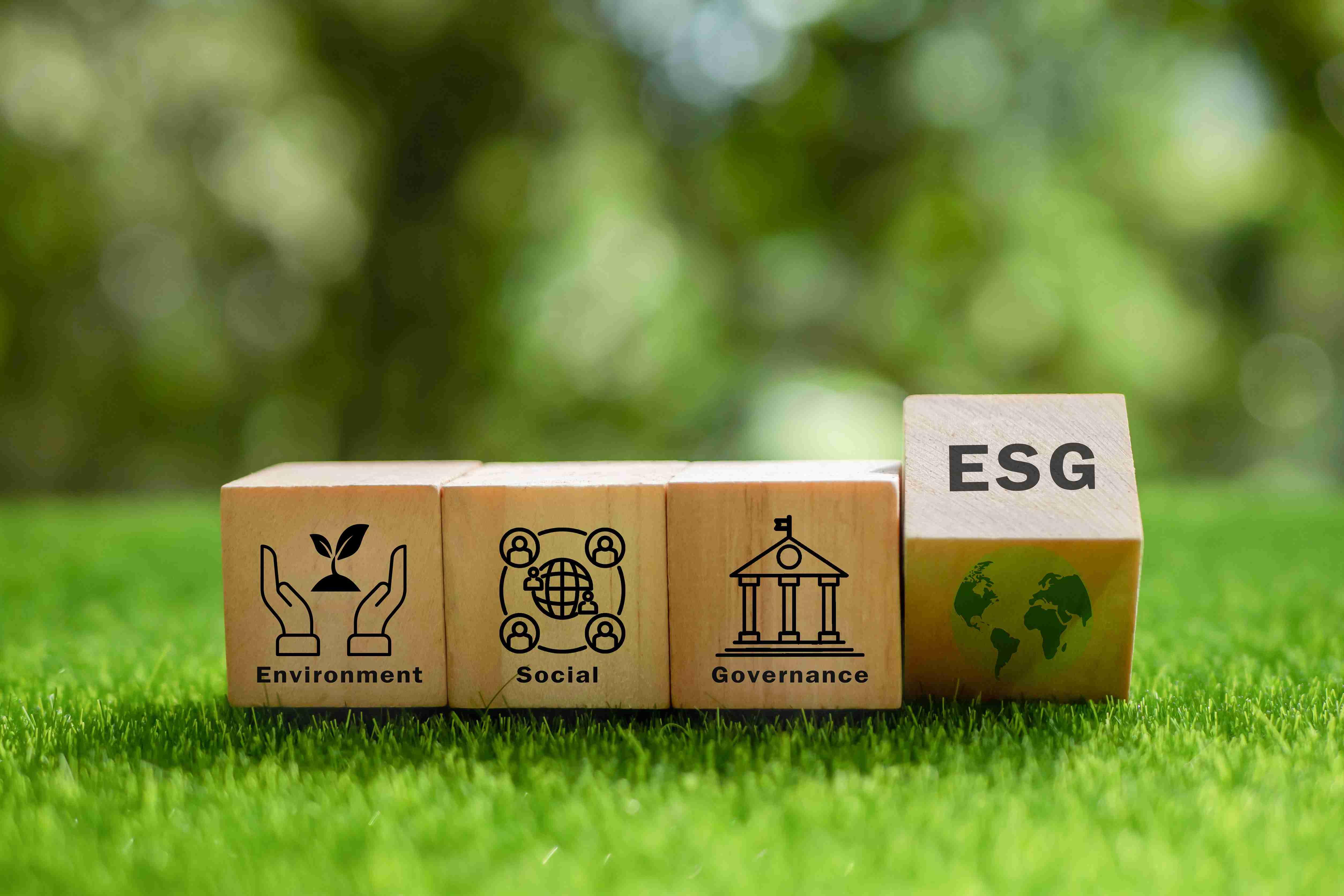 Criterios ESG: ¿qué son y para qué sirven? | ESIC